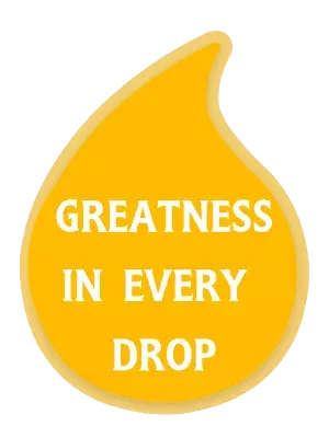 contact The best beer in Cambodia